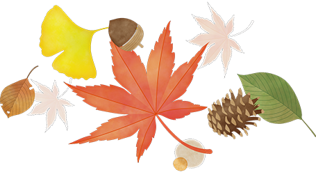 皆様のお手元に届きましたでしょうか ／新鬼平随想録[第10回] | JTEX 職業訓練法人 日本技能教育開発センター