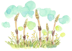 「多種多様な公開講座」の受講が可能！『Webインソース』ご紹介！ ／新鬼平随想録[第26回] | JTEX 職業訓練法人 日本技能教育開発センター