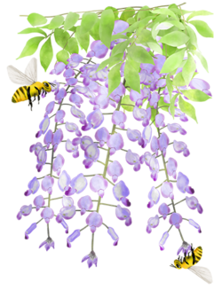 新入社員の“これから”にスパイスを… ／新鬼平随想録[第32回] | JTEX 職業訓練法人 日本技能教育開発センター