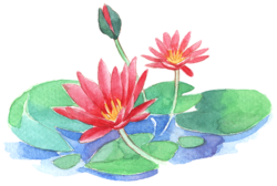 JTEXご受講ランキングベスト5です！！ ／新鬼平随想録[第43回] | JTEX 職業訓練法人 日本技能教育開発センター